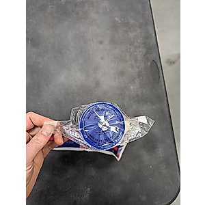 Outdoor Fly Traps. 2 Natural Pre-Baited Fly Bags - Disposable Big Bag Fly Trap Bag Fly Catchers. Stable Horse Ranch Fly Trap. Disposable Outdoor Hanging Fly Killer