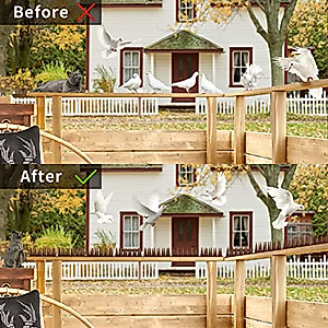 LESES Bird Spike Pigeons Spikes Raccoon Spikes Cat Spikes Outdoor Plastic Security Fence Spikes of 12 Pack [16.5 FT]