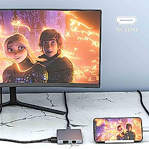 14 in 1 USB 3.1 Type-C HUB USB -C to HDMI 4K 30Hz VGA 100W PD Charging Adapter RJ45 Audio SD TF Card Reader USB 3.0 Hub for MacBook Nintendo Samsung Dex (Silver)