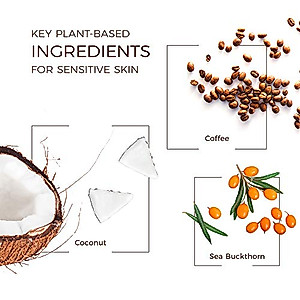 Babo Botanicals Daily Sheer Mineral Tinted Sunscreen Stick SPF50 - Natural Zinc Oxide - For Face - For all ages - EWG Verified - Water Resistant - Fragrance-Free