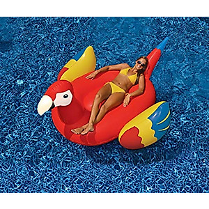 Swimline Giant White Swan/Flamingo/Black Swan/Parrot Floats for Swimming Pools (4 Pack)