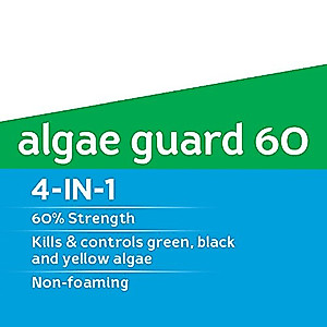 hth Pool Algaecide Super Algae Guard 60 (67064)