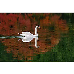 HD PENTAX-D FA 70-210mm F4ED SDM WR: Telephoto zoom lens for DSLR cameras High-performance while maintaing constant f/4 aperture Weather-resistant construction min. focusing distance of 0.95 meters