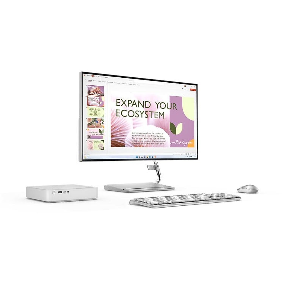 Lenovo 2024 IdeaCentre Mini Business Desktop 12-Core Intel Core i5-13500H Iris Xe Graphics 16GB DDR4 512GB NVMe SSD Thunderbolt 4 USB-C WI-FI AX BT HDMI2.1 DP RJ-45 Windows 11 Pro w/RE USB