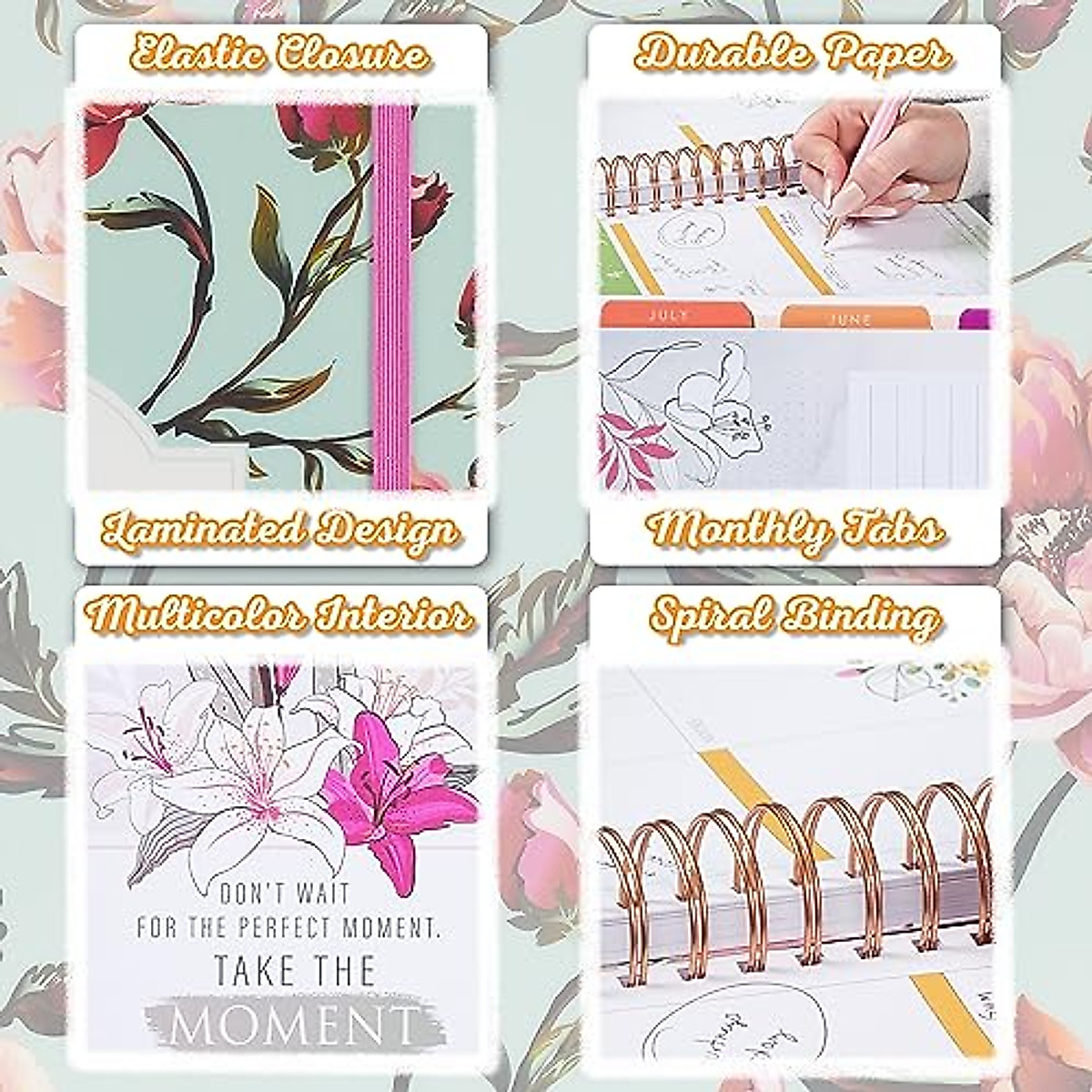 Christian Art Gifts Inspirational 18 Month Wirebound 2024 Planner for Women: I Can Do All This - Philippians 4:13 Bible Verse, Personal Week Organizer w/Elastic Closure Aug 2023-Jan 2025, Teal Floral