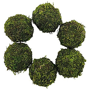 zorpia Natural Preserved Moss Hanging Ball Vase Bowl Filler for Garden, Wedding, Party Decoration (3.5"(6 Pack), Green)