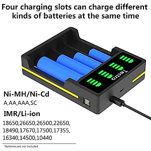 18650 Battery Charger, Tectra Universal Smart LED Charger for Rechargeable Li-ion Batteries 18650 26650 18490 17670 17500 16340 14500, Ni-MH Ni-Cd A AA AAA AAAA Batteries