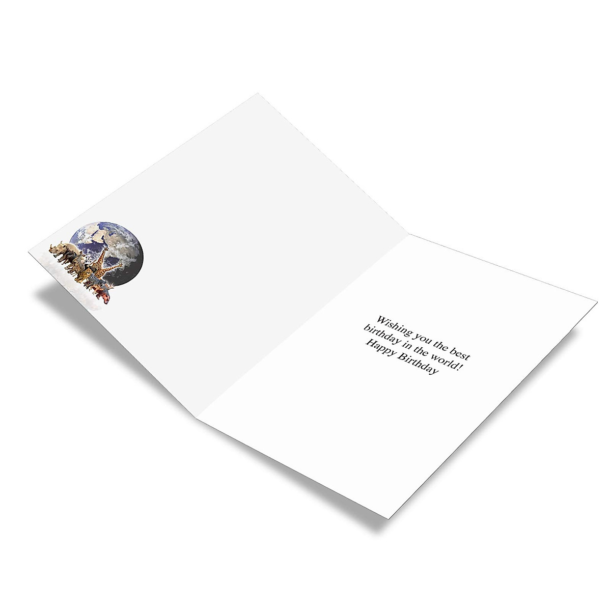 The Best Card Company Birthday Greeting Card with 5 x 7 Inch Envelope (1 Card) Bday Uno Mundo C6840ABDG