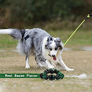 Anhozuo Dog Chew Toys for Aggressive Chewers Large Breed, Tough Durable Dog Toys, Real Bacon Flavor Skull Dog Chew Toys with 6 FT x 1/2" Durable Slip Lead Dog Leash