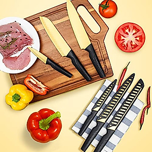 FASAKA Knives Set for Kitchen, Chef Knife Set, Kitchen Knife Sets, 6Pcs Titanium Coated Golden High Carbon Steel Made Kitchen Knives & 6Pcs Knife Sheaths with Gift Box, House Warming Gift