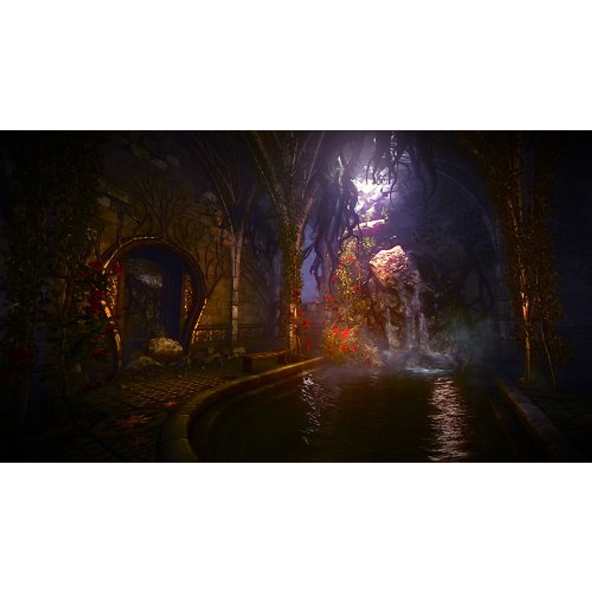 The Witcher 2: Assassins Of Kings Enhanced Edition