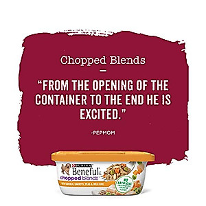 Beneful Purina High Protein Wet Dog Food Variety Pack, Prepared Meals & Chopped Blends - (16) 10 oz. Tubs