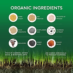 Green Organic Fertilizer - Grass Fertilizer for Greener Color & Sustained Growth, Lawn Food That Conditions & Nourishes Soil, No Harsh Chemicals Turf Care, 32 oz. Lawn Food for 5,000 sq. ft.