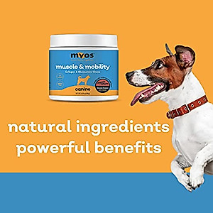 MYOS Canine Muscle & Mobility Chews – Natural Collagen & Glucosamine for Dogs - Bacon Flavor Joint Supplement for Muscle, Bone & Joint Support, 60 Count