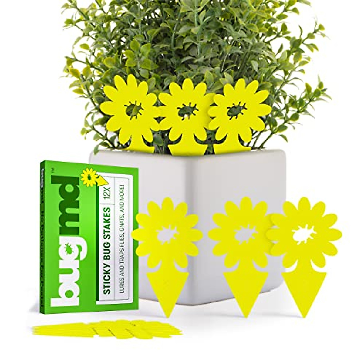 BugMD Sticky Bug Traps (12 Pack) - Indoor Fruit Fly Killer, Fungus Gnat Killer, Plant sticky traps for Bugs, Yellow Sticky Fly Traps for Plants, Gnat for Plants, Odorless