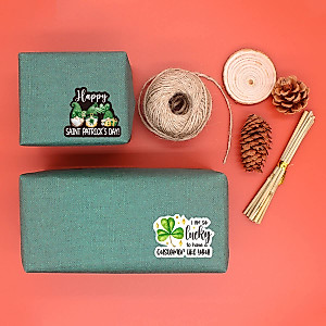 MEYFCLA I Am So Lucky Patrick's Day Sticker,Cute Small Business Envelopes Stickers for Handmade Goods/Bags Business