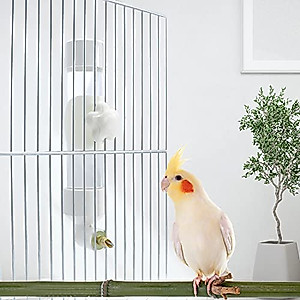 Bird Water Dispenser Parrot Waterer Automatic Bird Water Feeder for Medium Birds Parakeet Cockatiel Conure Caique (Small)