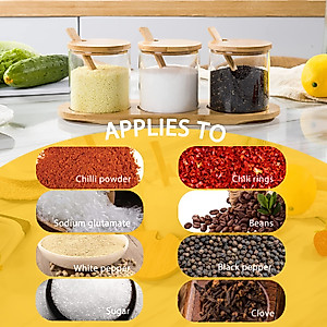 HONGCHU Seasoning Box，Condiment Pots，Glass Condiments Container Condiment Jars with Spoons Container for Spice Salt Sugar Cruet 3P
