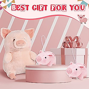 Zomiboo 5 Pcs Pig Baby Plush Cute Stuffed Animal Toy Set, Mini Pig Stuffed Animal Stuffed Pig Plush for Baby Shower Birthday Party Favors Gifts, Students Classroom Prizes, 4 inches