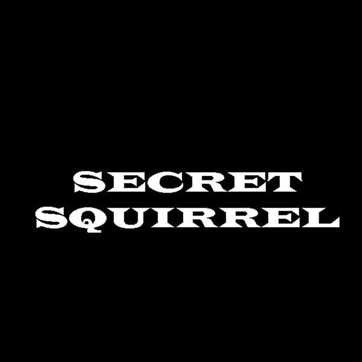 CafePress Secret Agent Mug Ceramic Coffee Mug, Tea Cup 11 oz