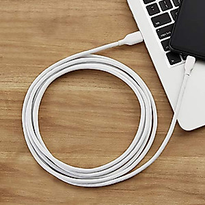 Amazon Basics Fast Charging 3A USB-C3.1 Gen1 to USB-A Cable - 10-Foot, White