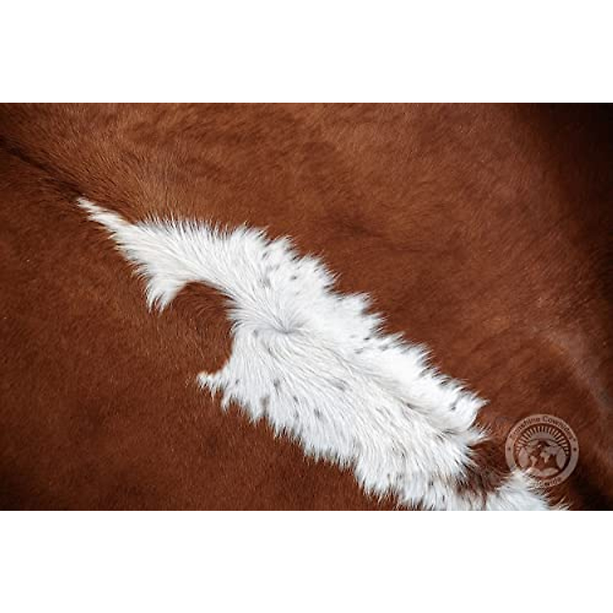 Genuine Hereford Red Brown and White Cowhide Rug Large 6 x 6-7 ft. 180 x 210 cm