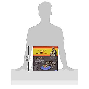 Petmate Jackson Galaxy Go Fish Cat Toy