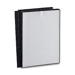 GoodVac Replacement Filter for Sharp HEPA FZ-A40SFU FP-A40UW Air Purifier Filter (HEPA + 4 Carbon Pre-filters)