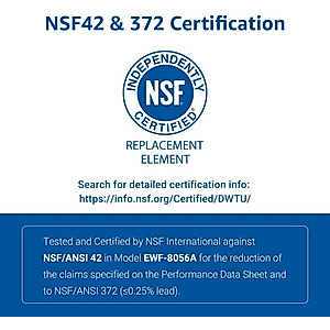 Waterspecialist RV Inline Water Filter, NSF Certified, Reduces Chlorine, Bad Taste and Odor, Rust, Corrosion, Sediments, and Turbidity, Dedicated for RVs, 1 Pack Water Filter with Hose Protector