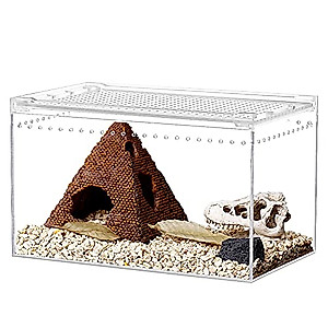NANEEZOO Magnetic Acrylic Enclosure, 10x6x6 Inch Tall Long Case Reptile Habitat Terrarium cage for Terrestrial Arboreal Tarantula Scorpion Sling Isopods Lizards Invertebrates Insect Mantis