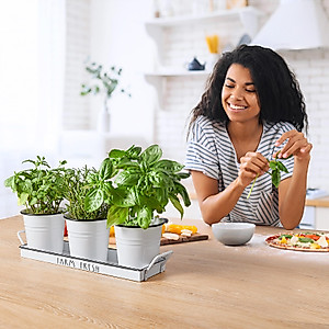 DAYYET Farmhouse Herb Garden Planter Indoor Window Planter Set with Tray, White Windowsill Herb Planter Pots with Drainage for Outdoor or Indoor Planters, Set of 3