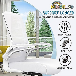 Mimoglad Home Office Chair, High Back Desk Chair, Ergonomic Mesh Computer Chair with Adjustable Lumbar Support and Thickened Seat Cushion (Modern, Ivory White)