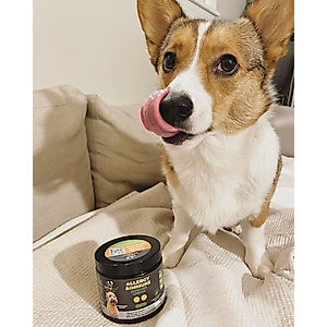 Googipet Dog Allergy Chews -Dog Allergy Relief & Itchy Skin Relief -Dog Skin & Coat Supplement +Bee Pollen, Colostrum for Dogs, Coconut Oil, Probiotics, & Omega 3 Fish Oil for Dogs Itching Skin Relief