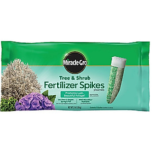 Miracle-Gro Fertilizer Spikes, GedwLL 36 Pack (Trees & Shrubs, Evergreens&Fruit & Citrus)