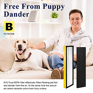 4 Pack HEPA Filter B FLT4825 Replacement for Air Purifier Filter, Fit AC4825 AC4300 AC4800 AC4900 AC4850, Premium HEPA Filter and 8 Activated Carbon Pre-Filter by TOMOON