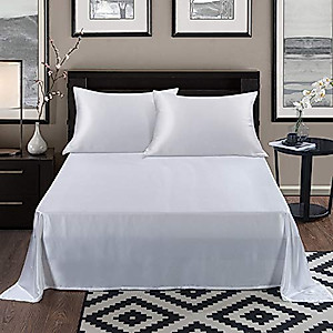 ALASKA BEAR Silk Pillowcase Cover for Hair and Skin, 100% Mulberry Silk Pillow Cases Queen Size for Bliss Sleep with Random Scrunchy Gift Set Better Than Poly Satin, Zipper Closure, 1pc, Cool White