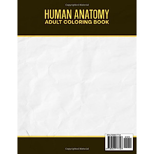 Human Anatomy Adult Coloring Book: Comprehensive Guide for Adult Learners, Nurses, Medical Students and Healthcare Students - Master A&P with Effective and Fun Detailed Self-Assessment Exercises