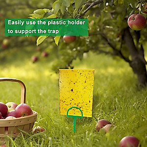 40 Sheets Sticky Fly Traps, Dual-Sided, for Flying Insect, Indoor and Outdoor, 8x6 Inch, Yellow