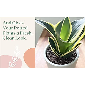 Urban Thumb & Co Ultra Fine Garden Plant Mulch - Top Cover for Indoor / Outdoor Potted House Plants - Compact Size, Potting Mix for Urban Plant Lovers- 3.25 Quarts