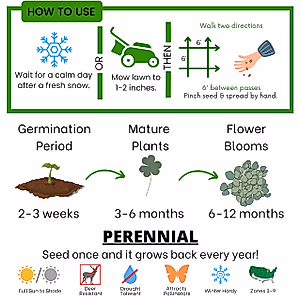 Flawn Seed Organic Coated Micro Clover Seed, Specialty Coated, Eco-Friendly, Low Mowing, Low Maintenance, Easy Open Compostable Pouch, Easy Spread Up to 500 SqFt