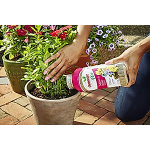 Osmocote Smart-Release Plant Food Plus Outdoor & Indoor, 2 lb.