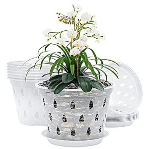 AAHGGBA Orchid Pot, 7 Inch 8 Pack Orchid Pots with Drainage Holes and Saucers Clear Plastic Orchid Pots Provide Good Air Circulation Garden Planters Pots for Indoor and Outdoor Use