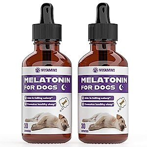 Melatonin for Dogs | Dog Melatonin | Melatonin for Dogs Sleep | Sleep Aid for Dogs | Dog Sleep Aid | Dog Calming | Calming for Dogs | Dog Calming Treats | Dog Anxiety Relief | (2 Pack)