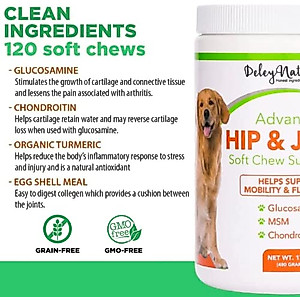 Deley Naturals Hip and Joint Support Supplement for Dogs - Advanced Arthritis Pain Relief - Chondroitin, MSM, Organic Turmeric, & Glucosamine for Dogs - Made in USA - 120 Grain Free Soft Chews