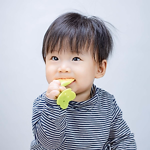 Stand-Up Teething Toys for Babies 0-6 Months 6-12 Months - Teethers with 2 × Baby Fruit Feeders and 4 × Baby Teether - BPA Free/Freezer Free - Different Soft Textures for Infant and Toddlers (Pink)