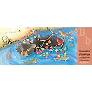 M is for Mountain State: A West Virginia Alphabet (Discover America State by State)