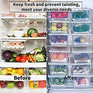 77L Food Storage Containers, (3-Pack) Plastic Food Container with Removable Drain Plate and Lid, Stackable Portable Freezer Storage Containers - Tray to Keep Fruits, Vegetables, Meat and More (Medium)
