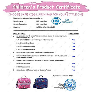 Kasqo Lunch Bag Box for Girls, Insulated Cooler Bag Kids Lunch Tote with Dual Compartments, Pink Kitty