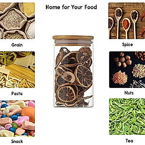 Encheng Glass Jars Set,Borosilicate Glass Food Storage Containers,20 oz Airtight Kitchen Canisters with Bamboo Lids for Pantry Organization,Clear Food Jars for Spice,flour,Nuts,Oatmeal,Coffee,9 Pack
