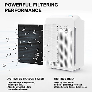 GoKBNY C545 True HEPA Replacement Filter Compatible with Winix C545 Purifier, HPEA Filter S, Part Number 1712-0096-00, 4×True HEPA Filters + 4×Activated Carbon Pre-Filters